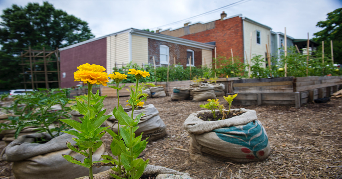 Communications — intranet.chs.vcu.edu